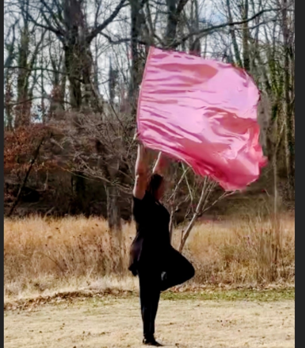 Pink Metallic Lamé Angel Wing Flags | Worship With Flags