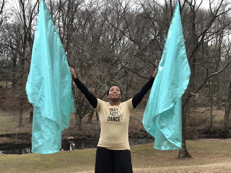 Sea Green Lamé Large Angel Wing Flags | Worship With Flags