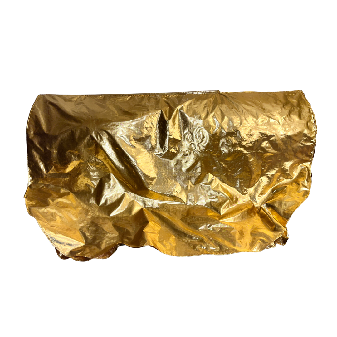 Adult Medium Metallic Ultra Lamé Angel Wing Flags | Worship With Flags