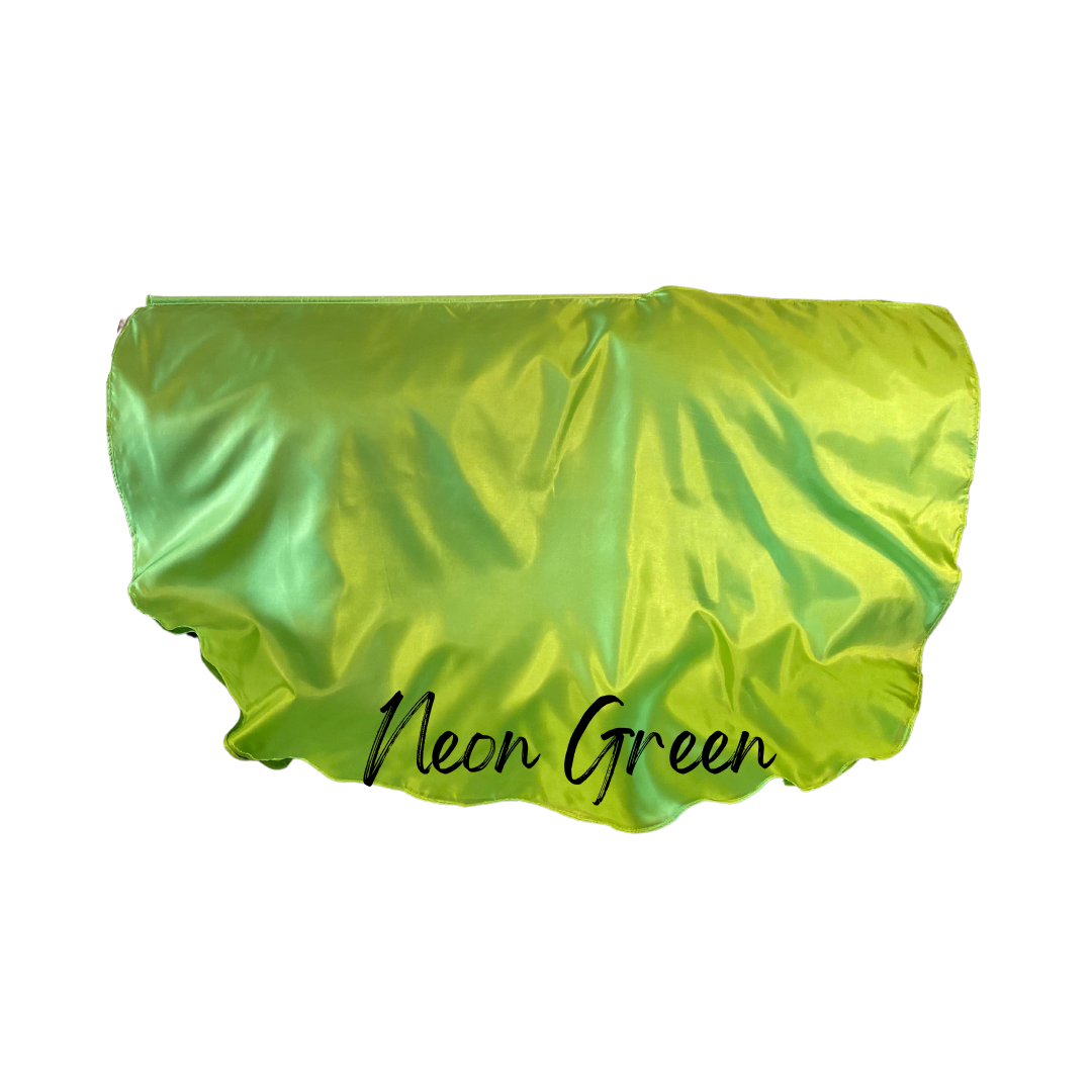 Adult & Child Medium Poly Silk Angel Wing Flags | Worship With Flags