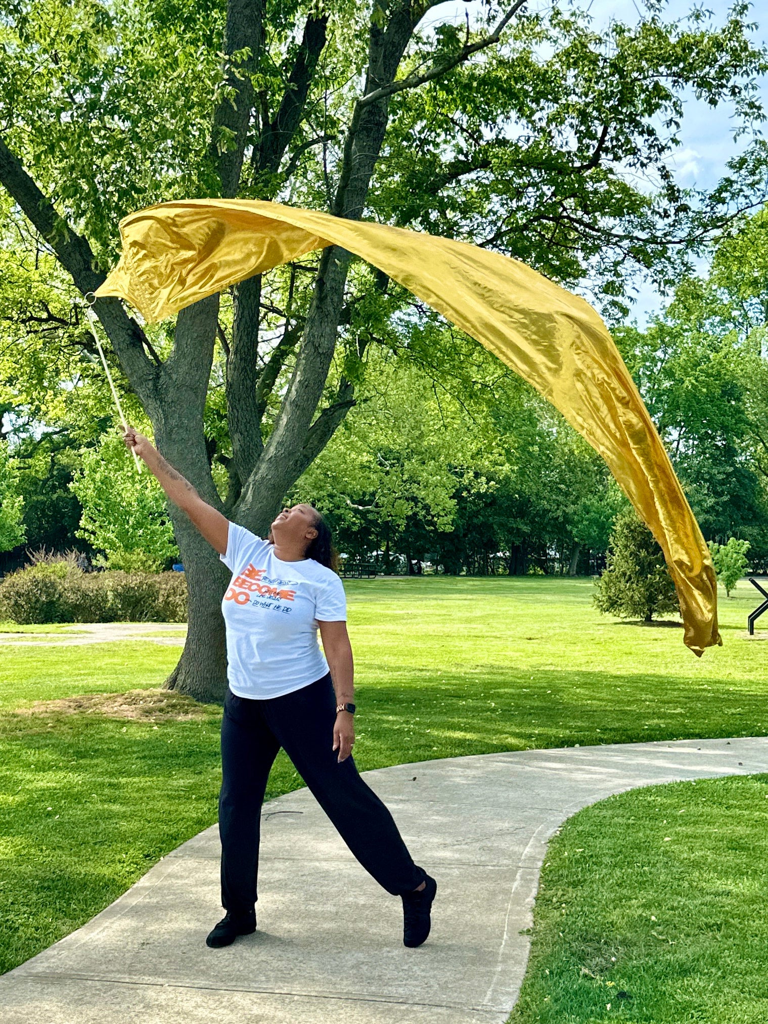 12ft Gold Metallic Lamé - Kite Streamer | Worship With Flags