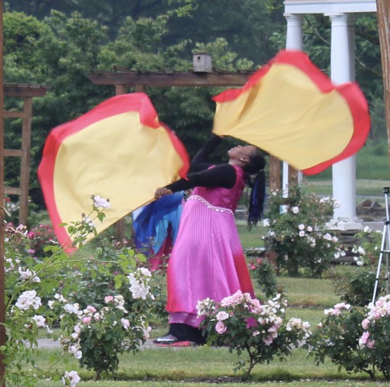 Double Color Large Poly Silk Angel Wing Flag | Worship With Flags