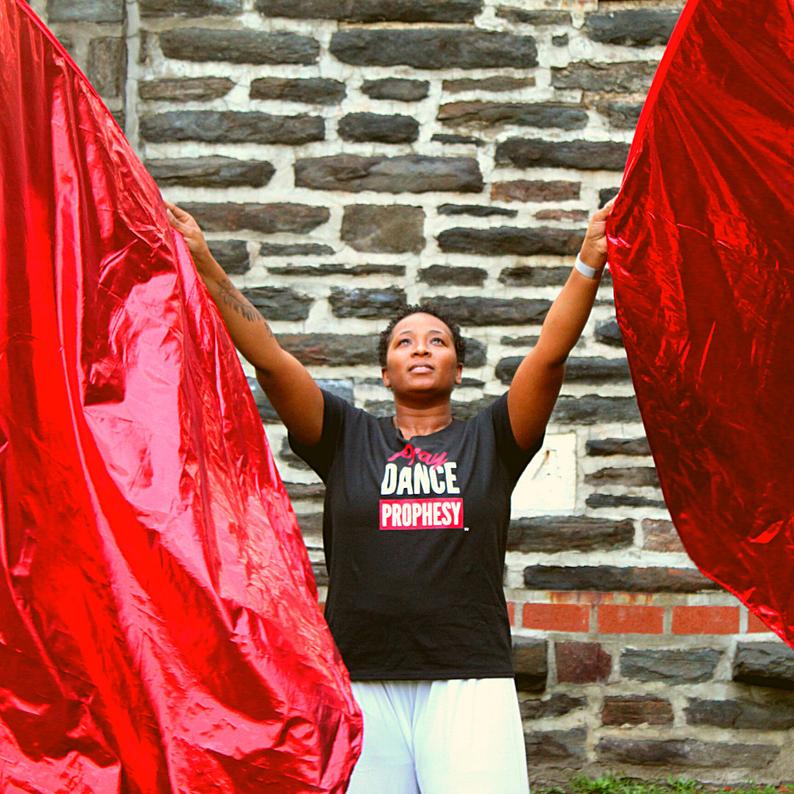Red Metallic Lamé Angel Wing Flags | Worship With Flags